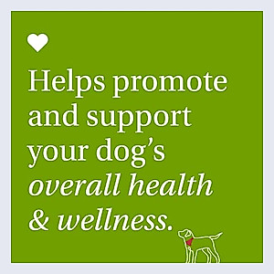 PetLab Co. 22 in 1 Dog Multivitamin - Support Dog's Immune Response, Skin, Coat, Joints & Overall Health - Vitamins A, E, D, B12, Minerals, Antioxidants - Chewable Pork Flavor