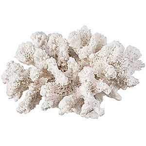 Nautical Crush Trading Decorative Sea Coral - 4in x 3.5in x 2.5in - Small White Coral for Beachy Decor - Perfect for Aquariums - Fish Tanks