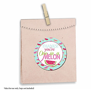 One in A Melon Thank You Sticker Labels, 40 2" Party Circle Stickers by AmandaCreation, Great for Party Favors, Envelope Seals & Goodie Bags