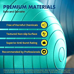 ProBody Pilates Ball Yoga Ball Exercise Ball, Balance Ball or Pregnancy Ball for Stability, Yoga Ball Chair, Therapy Ball Workout Ball or Birthing Ball for Pregnancy (Slate, 55 cm)