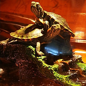 Yijiujiu Turtle Island Basking Platform, Blackstone Tortoise Basking Ramp Step Ledge and Cave Hide-Out Medium Aquarium Resin