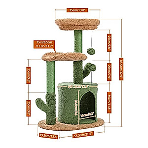 PAWZ Road Cat Tree 32 Inches Cactus Cat Tower Bundle with 23 Inches Cactus Cat Scratcher Featuring with 3 Scratching Poles