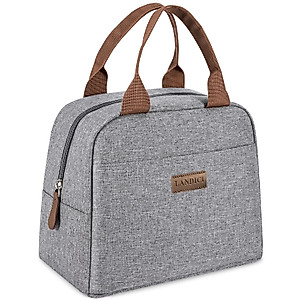 LANDICI Lunch Bag for Women Men Insulated Small Lunch Box for Adult Kids, Waterproof Reusable Soft Sided Cooler Lunch Tote Bag for Work Office School Travel Picnic Food, Grey