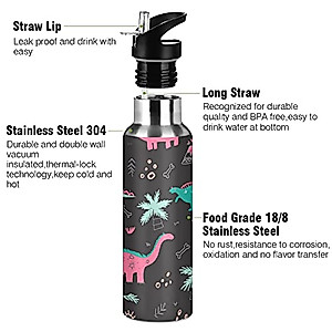 OREZI Vector Childish Dinosaurs Water Bottle Thermos with Straw Lid for Boys Girls,600 ml,Leakproof Stainless-Steel Sports Bottle for Women Men Teenage