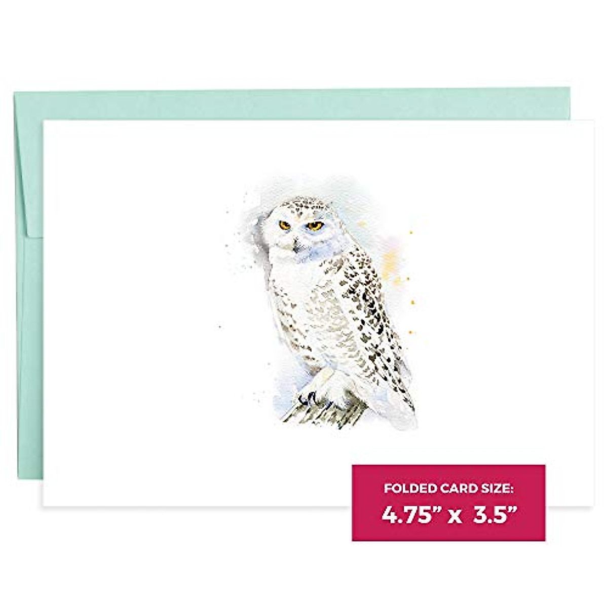 L'apostrophe Polar Bear, Seal, Fox, Snowy Owl Note Cards - Blank Inside with Envelopes - Greeting Notecards - Watercolor Set of Winter Animals  - Thank You Notes