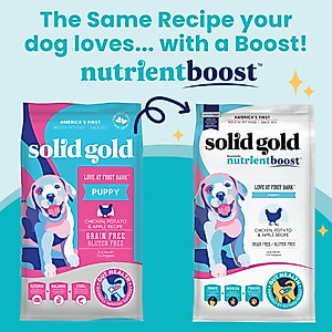 Solid Gold Dry Puppy Food w/Nutrientboost - Made with Real Chicken & Nutritious Superfoods - Love at First Bark Grain Free Puppy Dry Food for Healthy Growth, Energy and Gut Wellness - 3.75 LB Bag