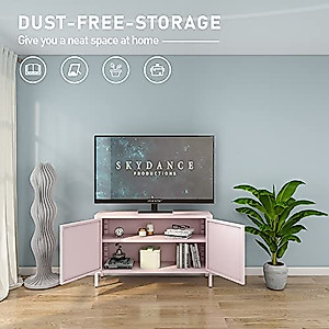 LINGZOE 2 Door Steel Storage Cabinet Pink TV Stand for Living Room,Metal Locker Storage Cabinet for Bedroom Balcony