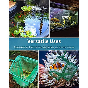 Pawfly 4 & 6 Inch Aquarium Fish Net Set with Braided Metal Handle Square Green Net with Soft Fine Mesh Sludge Food Residue Wastes Skimming Cleaning Net for Fish Tanks Small Koi Ponds and Pools