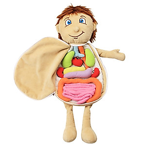 Organ Toy for Kids, Human Body Anatomy Awareness Teaching Tools, Preschool Educational Organ Plush Toys, Science Learning Kits for Home School Teaching Aids (Organ Toys)