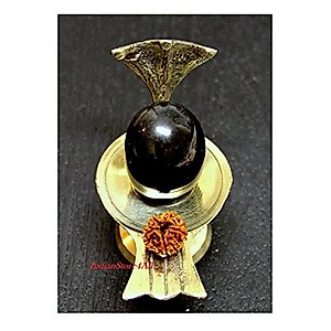 IndianStore4All Shaligram Shiva Ling Lingam Shivling Statue Hindu Puja Stand 5 Mukhi Rudraksha