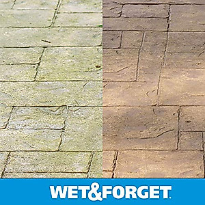 Set of 2 Wet and Forget Moss, Mildew and Algae Stain Remover