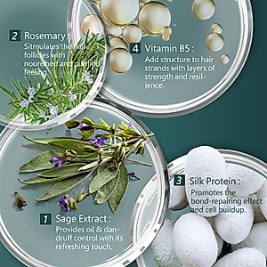 SH-RD Sage Purifying Shampoo for Oily Scalp | Deep Cleansing, Rebalancing, Hydrating Dandruff Scalps | Safe for Flat Hair & All Hair Types, | Sulfate-, Silicone-Free Oil Control Shampoo -6.76oz/200ml