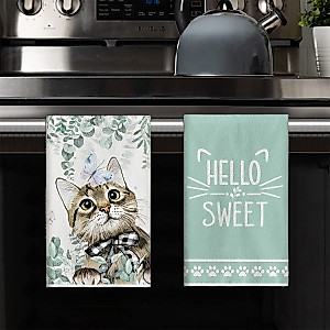 Artoid Mode Eucalyptus Leaves Cat Hello Sweet Kitchen Towels Dish Towels, 18x26 Inch Buffalo Plaid Bow Tie Holiday Decoration Hand Towels Set of 2