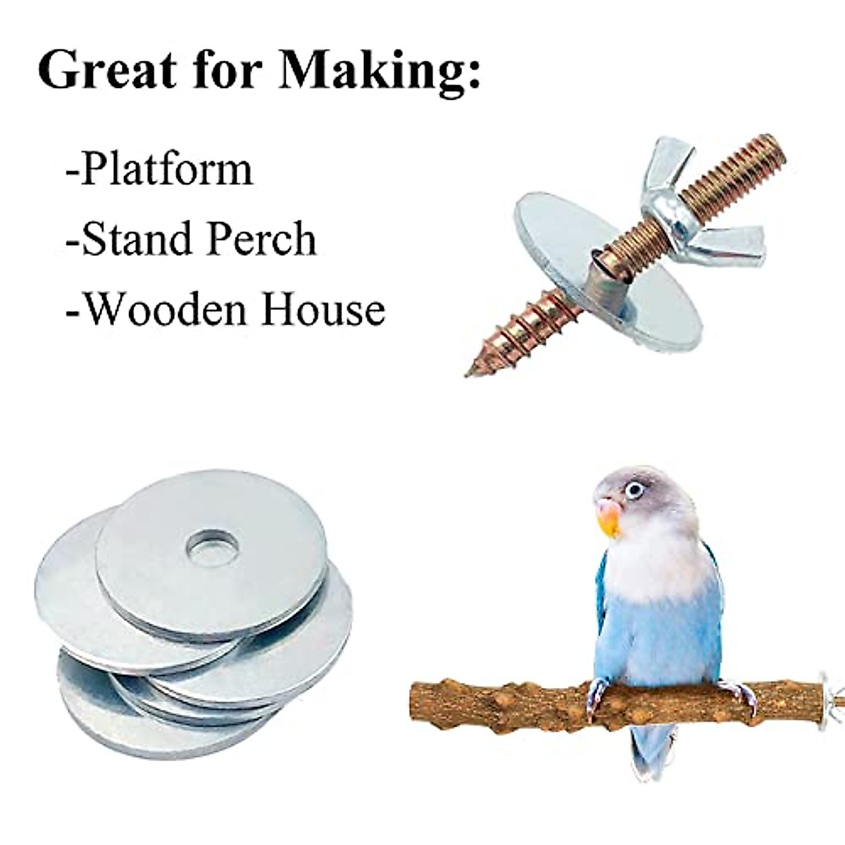 Bird Cage Screws Bird Perch Screws Bird Stand Platform Accessories 20 Washers 10 Screws 10 Wing Nuts 1 Drill Tool Hardware for Fixing Bird Playground Perch Food Bowls Feeder Breeding Box (10 Sets)