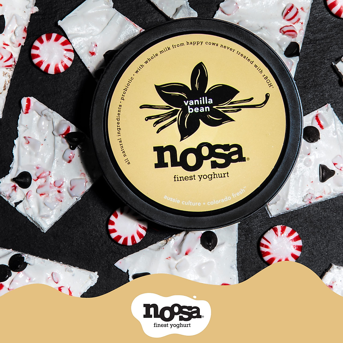 Noosa, Yoghurt Vanilla Bean, 8 Ounce, Probiotic, Whole Milk Yogurt, No Artificial Ingredients, Gluten Free