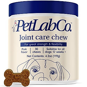 Petlab Co. Joint Care Chews - High Levels of Glucosamine for Dogs, Green Lipped Mussels, Omega 3 and Turmeric - Dog Hip and Joint Supplement to Actively Support Mobility - Packaging May Vary