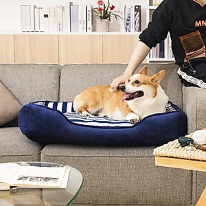 LinkRomat Dog Beds Large Sized Dog with Cushion, Extra Large Dog Bed Removable Washable & Waterproof Dog Bed, Indestructible Chew Proof Dog Bed Suit Medium & Large Dog, M, 35" L X 27" W X 6" Th