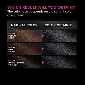 Garnier Hair Color Olia Ammonia-Free Brilliant Color Oil-Rich Permanent Hair Dye, 2.11 Platinum Black, 1 Count (Packaging May Vary)
