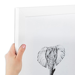 ArtToFrames 40x50 CM / 15.75x19.69 INCH White Picture Frame, This 1.25 Inch Custom MDF Poster Frame is White - Comes with Regular Glass and Corrugated Backing (CMWOMFRBW26074-40x50)