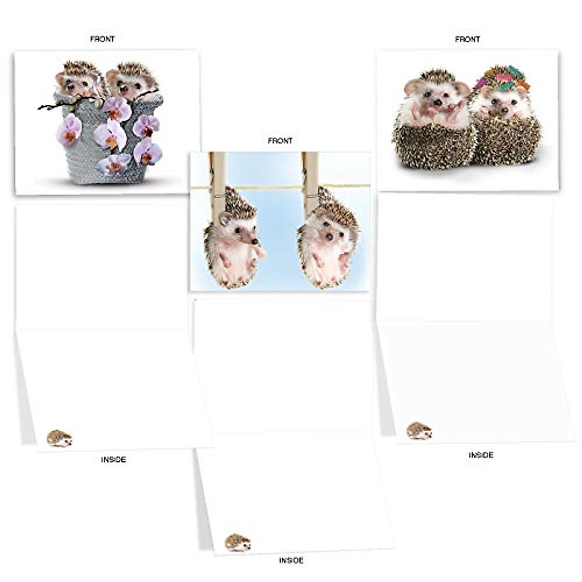 The Best Card Company - 10 Blank Animal Cards Boxed (4 x 5.12 Inch) - Assorted Pets, Zoo, Wildlife Cards for Kids - Cards from the Hedge M6541OCB