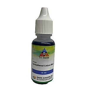 Lactophenol Cotton Blue 15mL Dropper Bottle