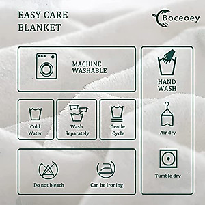 Boceoey Throw Blanket for Couch Soft Blanket Warm Lightweight, Fleece Blanket Queen Size for Bedspread, Fluffy Cozy Blankets for Bed Sofa Travel Camping 108x90 Inches Sea Otter