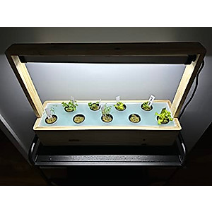 Tabletop Hydrogarden 9 Spots