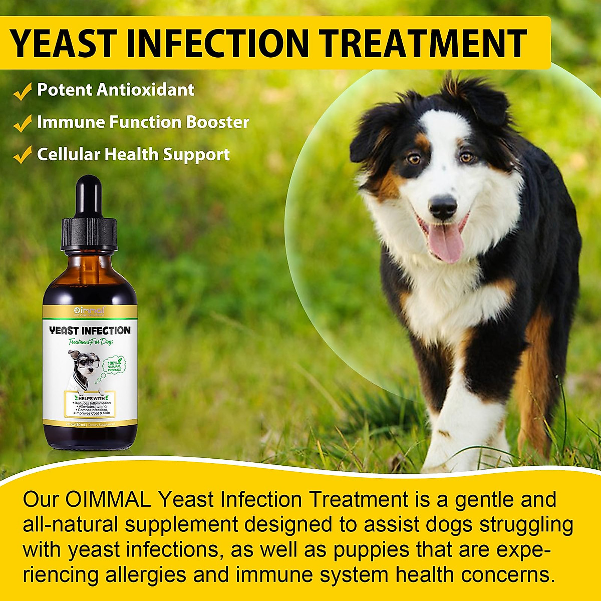 Dog Yeast Infection Treatment, Natural Yeast Infection Treatment for Dogs, Supports Dog Ear Infection Treatment and Allergy Itch Relief, Reduces Inflammation,Improve Coat & Skin, Bacon Flavor, 2 Fl Oz