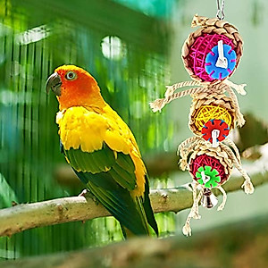 WeiLaiKeQi Pet Bird Toys Parrot Toys for Chewing