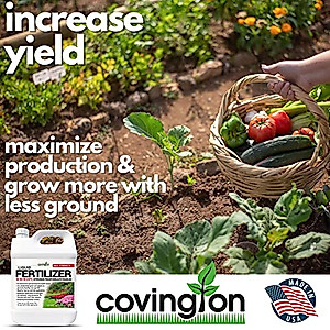 Covington Liquid 10-10-10 Fertilizer for Lawns, Plants, Vegetables, All Purpose Fertilizer 10-10-10 Concentrate, Liquid 10 10 10 NPK Lawn Food with Nitrogen Phosphorus Potassium, 32 Ounces