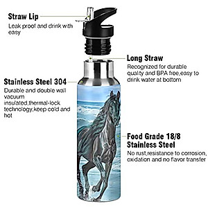xigua Horse Water Bottle Stainless Steel Vacuum Insulated Water Bottle Standard Mouth Wide Handle Bottle with Straw Lid for Sports School Gym Outdoor,20 oz.