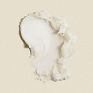 The Honest Company Moisturizing Hand Cream | Antioxidant-Packed for Dry Skin | Hypoallergenic, Dermatologist Tested, Cruelty Free | Lavender, 1.7 fl oz