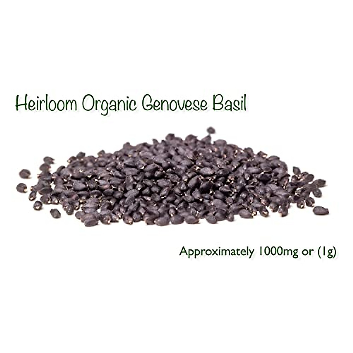 DesertUSA Heirloom Organic Genovese Basil Garden Grow Kit in Gift Box, Non-GMO Herb Seeds, Instructions, Bamboo Plant Labels, 2 Pots, Rose Quartz