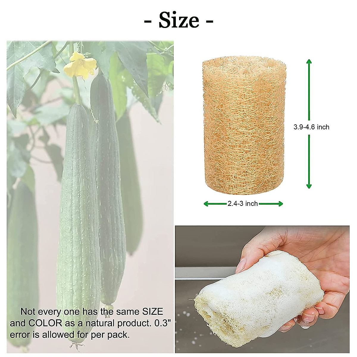 FRTIM Natural Loofah Sponge Shower Organic Luffa Bath Loofa Exfoliating Body Scrubber Loofah for Men Women Adults Back Face Body Skin SPA Care - 6 Pieces