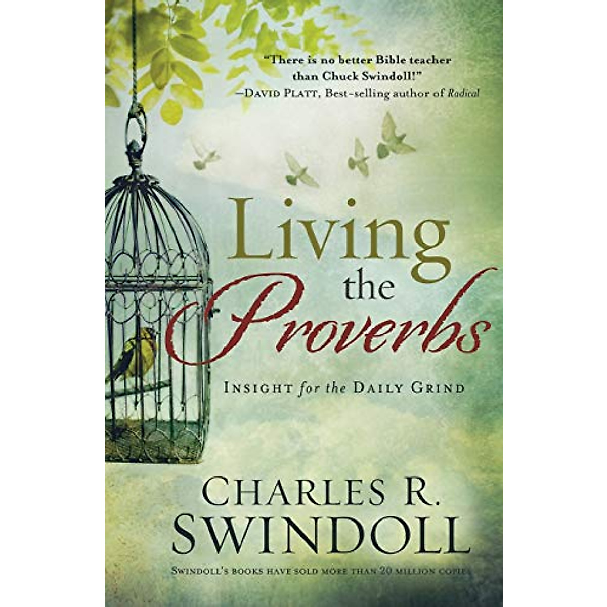 Living the Proverbs: Insights for the Daily Grind