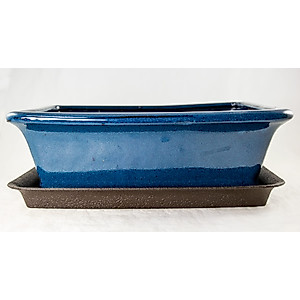 Calibonsai Rectangular Glazed Bonsai Pot, Cactus & Succulent Planter + Tray + Mesh 12 x 9 x 4 - Dark Blue Stain
