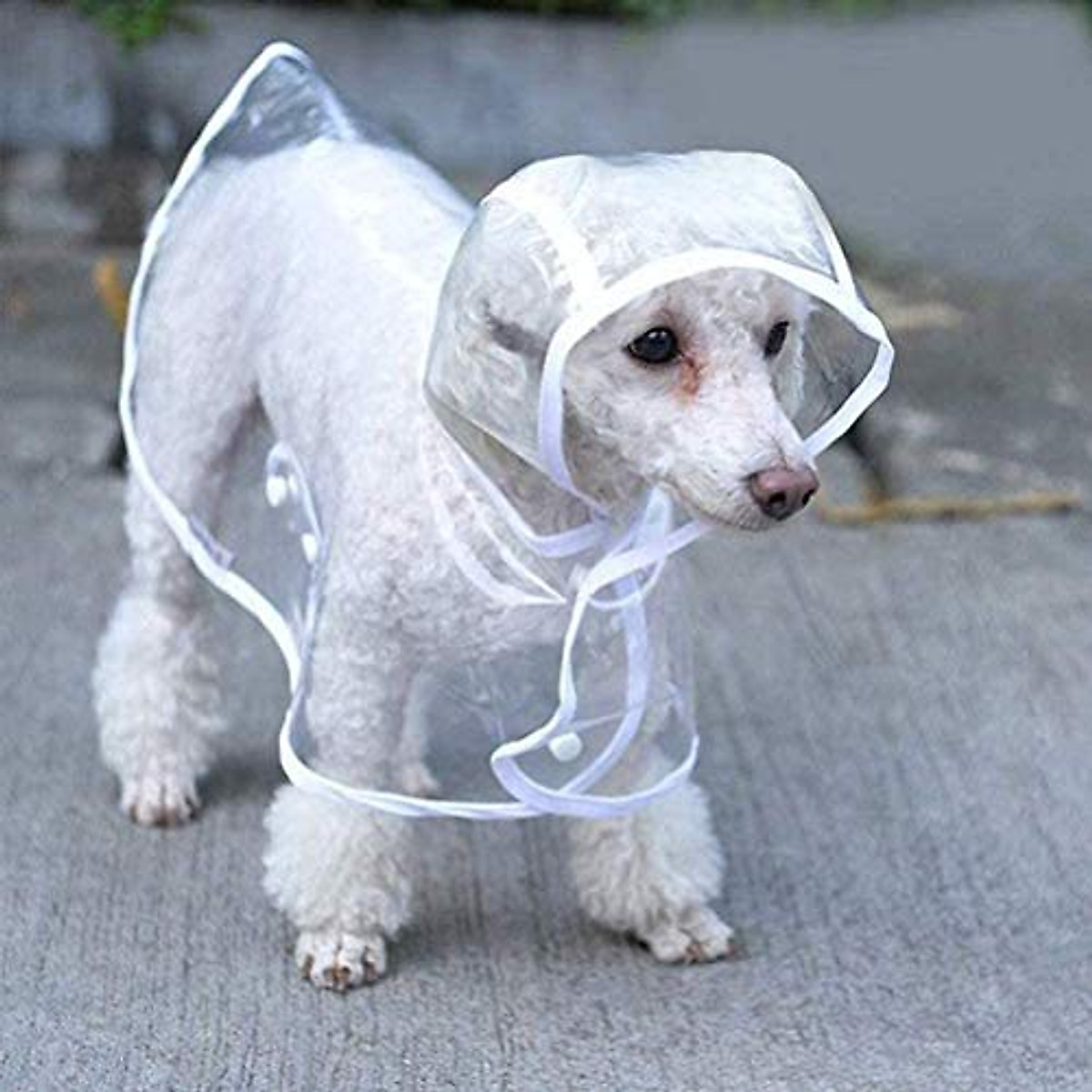 Dog Raincoat, Waterproof Pet Raincoats with Poncho Hood, Portable Transparent Dog Rain Coat Lightweight Dog Rain Jacket for Outdoor Walking in Rainning Days