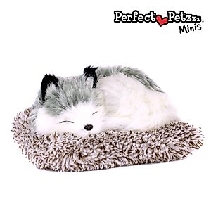 Perfect Petzzz Minis Alaskan Husky, Realistic, Lifelike Stuffed Interactive Plush Toy, Electronic Pets, Companion Pet Puppy with 100% Synthetic Fur
