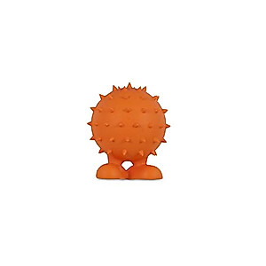 JW Pet Spiky Cuz Assistant Toy, Small, Multicolor,31302
