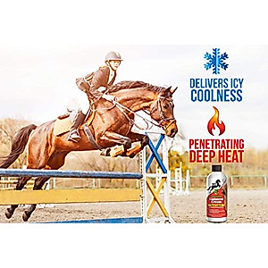 HARRIS Happy Horse Liniment, Wintergreen Cream for Sore Muscle & Joint Pain Relief, 16oz