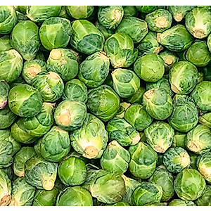 TKE Farms - Brussel Sprout Seeds for Planting, Long Island Improved, 3 Grams ≈ 750 Seeds, Brassica oleracea VAR. gemmifera