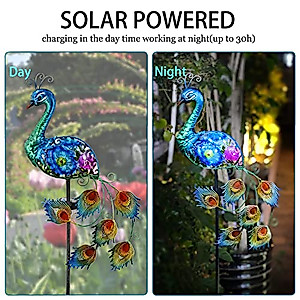 WUFEILY Peacock Solar Garden Lights, Hand-Painted Glass Solar Garden Decor, Decorative Garden Stakes Yard Art Decorations Outdoor, Lawn Stake Ornaments for Patio Pathway Yard