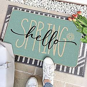 Artoid Mode Blue Hello Spring Daisy Welcome Decorative Doormat, Seasonal Low-Profile Rug Switch Mat for Indoor Outdoor 17x29 Inch