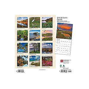 Florida Wild & Scenic | 2023 12 x 24 Inch Monthly Square Wall Calendar | Foil Stamped Cover | BrownTrout | USA United States of America Southeast State Nature
