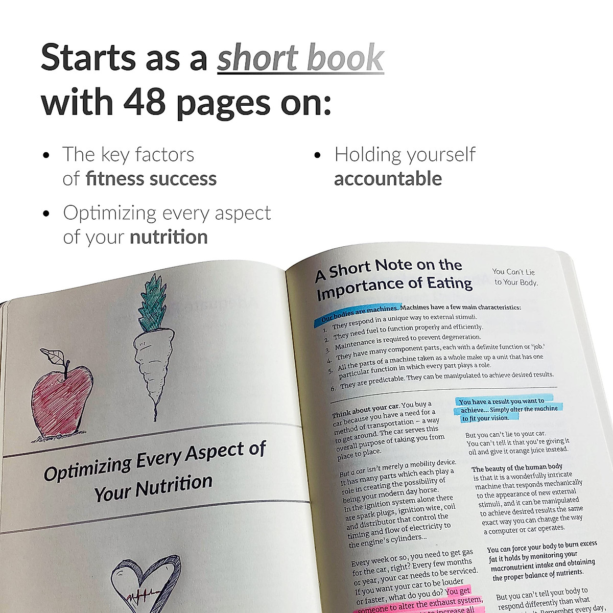 The Dumbbell Home Workout Journal. 13-Week Program. Fitness Planner,Fitness Journal,Workout Notebook.