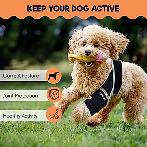 TOFIK Dog Knee Brace for Torn ACL Hind Leg – Premium Neoprene Dog Sling for Large Dogs Hind Leg Support – Washable and Reusable Dog Leg Brace with Flexible Springs (M, Silver)