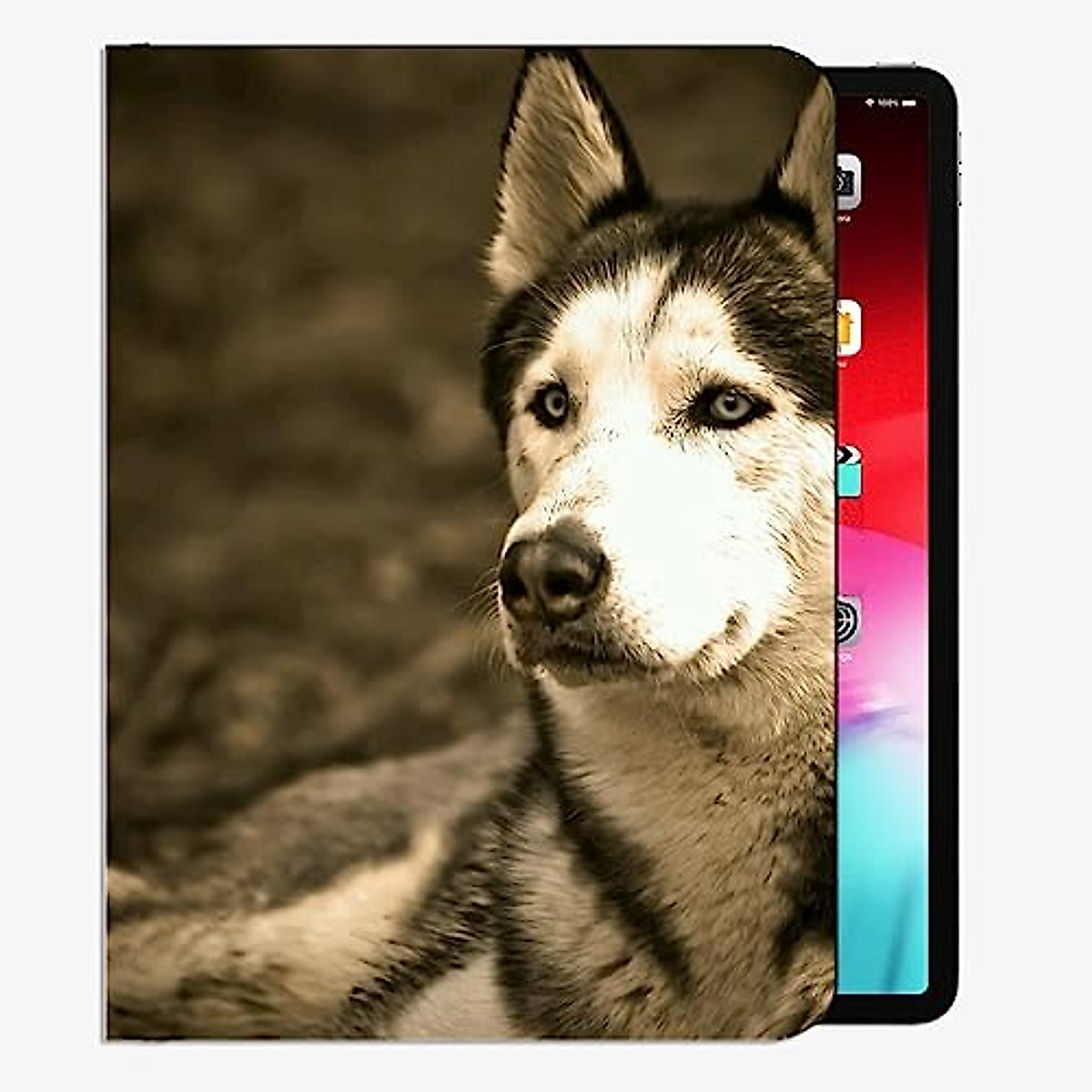 Wugao Wugao Case for iPad Air 3 (10.5-inch 2019,3rd Generation) and iPad Pro 10.5,Siberian Husky Blue Eyes A021 Business Folio Stand Cover with Pencil Holder