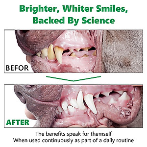 Teeth Cleaning Powder for Dogs, 2 x 80g Dog Dental Powder Cleaning Teeth, Dog Breath Freshener with Probiotics for Bad Breath, Plaque, Tartar - Dental Care Supplement for Small, Medium & Large Dogs