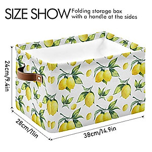 Moudou Lemon Laundry Basket Square Collapsible Laundry Hamper Clothes Toys Storage Bin with Handles for Bedroom, Closet, Nursery, Dorm, Home Decor