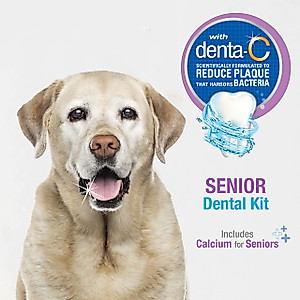 Nylabone Advanced Oral Care Senior Dog Dental Kit Bacon Flavor Small